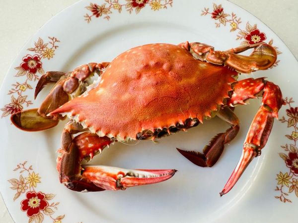 螃蟹怎么蒸好吃又简单_清蒸螃蟹步骤详解-第1张图片-山城妙识 螃蟹怎么蒸好吃又简单_清蒸螃蟹步骤详解-第1张图片-山城妙识