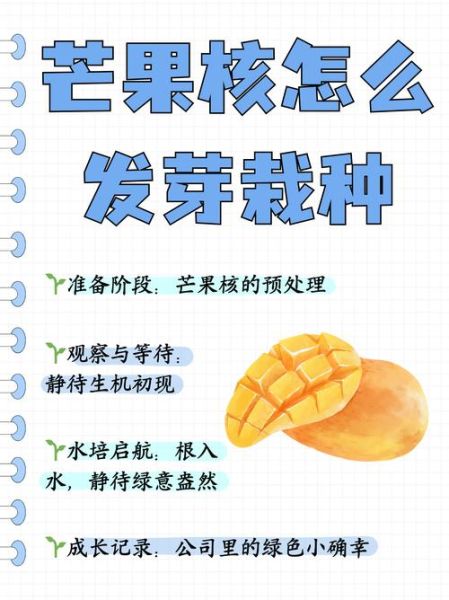 芒果怎么剥皮_芒果怎么去核-第1张图片-山城妙识 芒果怎么剥皮_芒果怎么去核-第1张图片-山城妙识