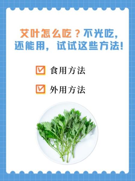 艾草怎么吃_艾草食用方法大全-第2张图片-山城妙识 艾草怎么吃_艾草食用方法大全-第2张图片-山城妙识