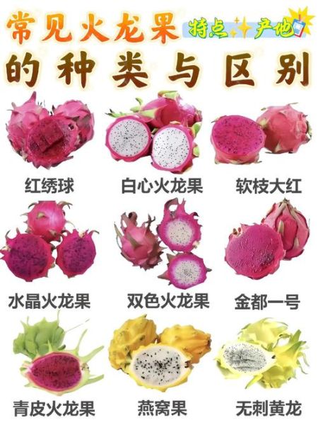 火龙果怎么挑选_火龙果热量高吗-第2张图片-山城妙识 火龙果怎么挑选_火龙果热量高吗-第2张图片-山城妙识