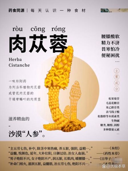 肉苁蓉多少钱一斤_野生与种植价格差多少-第3张图片-山城妙识 肉苁蓉多少钱一斤_野生与种植价格差多少-第3张图片-山城妙识