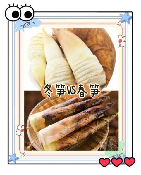 春笋和冬笋的区别_毛笋和竹笋哪个更嫩-第3张图片-山城妙识 春笋和冬笋的区别_毛笋和竹笋哪个更嫩-第3张图片-山城妙识