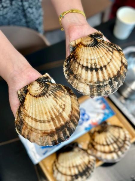 扇贝的营养价值_扇贝的功效与作用-第3张图片-山城妙识 扇贝的营养价值_扇贝的功效与作用-第3张图片-山城妙识