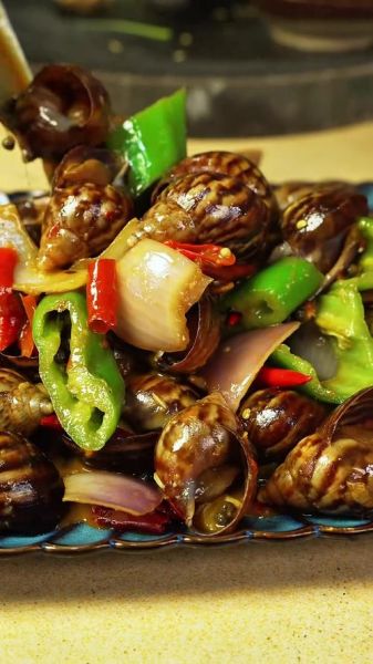 食用蜗牛怎么做好吃_食用蜗牛的营养价值-第3张图片-山城妙识 食用蜗牛怎么做好吃_食用蜗牛的营养价值-第3张图片-山城妙识