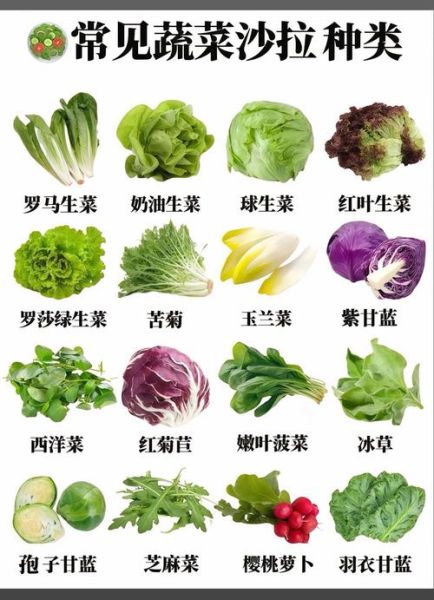 蔬菜种类100种图片大全_哪些蔬菜适合新手种植-第1张图片-山城妙识 蔬菜种类100种图片大全_哪些蔬菜适合新手种植-第1张图片-山城妙识