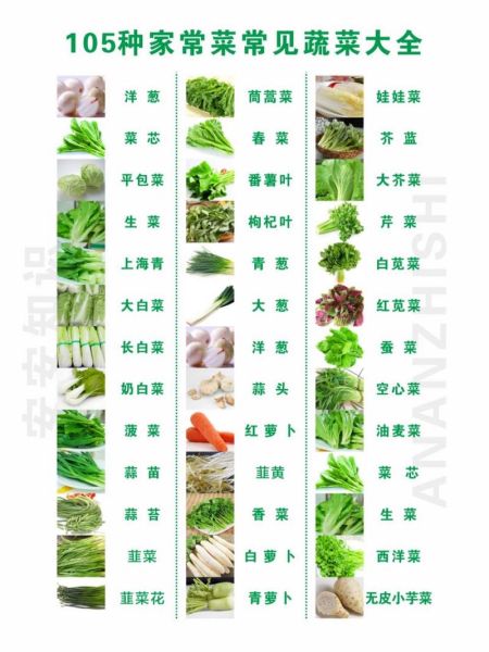 蔬菜种类100种图片大全_哪些蔬菜适合新手种植-第3张图片-山城妙识 蔬菜种类100种图片大全_哪些蔬菜适合新手种植-第3张图片-山城妙识