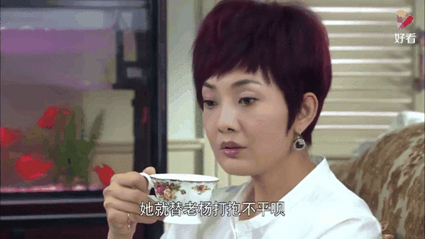 麻辣芳邻电视剧剧情介绍_麻辣芳邻演员表-第3张图片-山城妙识