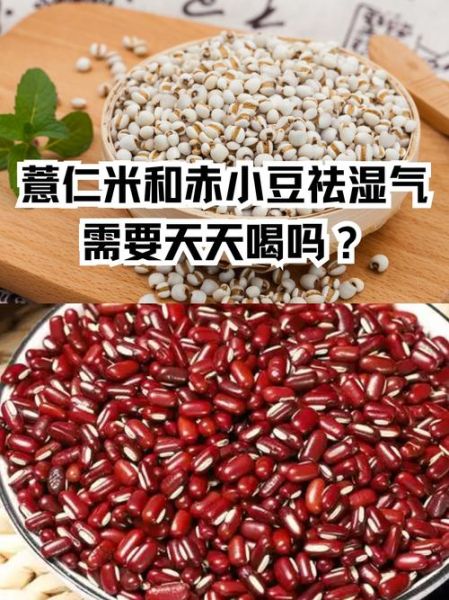 红豆和大米可以一起吃吗_红豆为什么不能和大米一起吃-第1张图片-山城妙识 红豆和大米可以一起吃吗_红豆为什么不能和大米一起吃-第1张图片-山城妙识