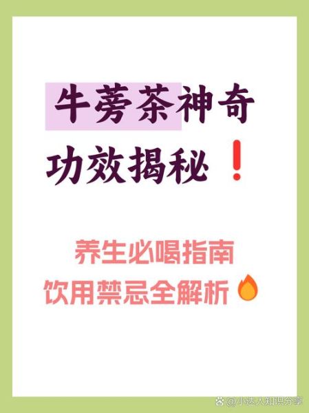 牛蒡茶的功效与作用_牛蒡茶的禁忌有哪些-第1张图片-山城妙识