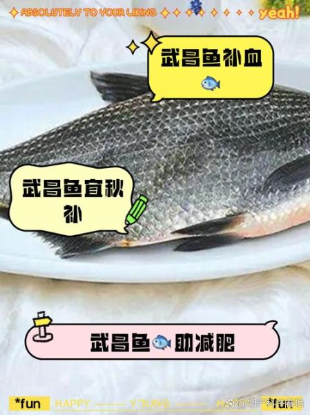 武昌鱼为什么刺那么多_武昌鱼刺多吃法技巧-第1张图片-山城妙识 武昌鱼为什么刺那么多_武昌鱼刺多吃法技巧-第1张图片-山城妙识