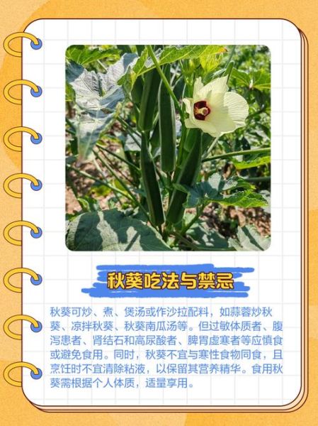 秋葵中毒轻微症状_秋葵中毒轻微症状怎么办-第1张图片-山城妙识