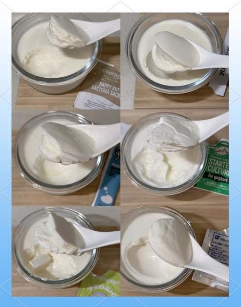 酸奶发酵剂哪个牌子好_家用酸奶菌粉怎么选-第3张图片-山城妙识