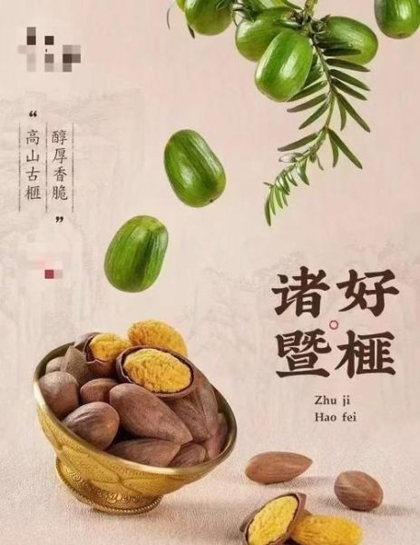 香榧果多少钱一斤_香榧价格为什么这么贵-第3张图片-山城妙识 香榧果多少钱一斤_香榧价格为什么这么贵-第3张图片-山城妙识