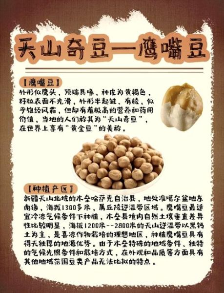 鹰嘴豆和黄豆哪个营养价值更高_区别与选择-第1张图片-山城妙识