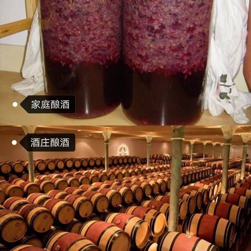 葡萄酒做法自酿全过程_自酿葡萄酒需要哪些材料-第2张图片-山城妙识
