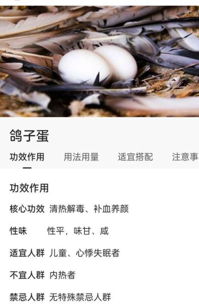 鸽子蛋怎么吃最营养_鸽子蛋一天吃几个合适-第1张图片-山城妙识 鸽子蛋怎么吃最营养_鸽子蛋一天吃几个合适-第1张图片-山城妙识