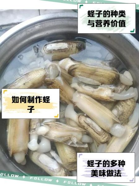 蛏子营养价值高吗_蛏子什么人不能吃-第3张图片-山城妙识