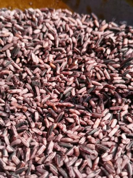 紫糯米的功效与作用_紫糯米补血吗-第3张图片-山城妙识 紫糯米的功效与作用_紫糯米补血吗-第3张图片-山城妙识