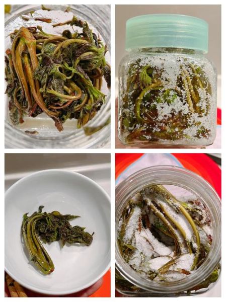 香椿怎么腌制好吃_香椿腌制做法大全-第1张图片-山城妙识 香椿怎么腌制好吃_香椿腌制做法大全-第1张图片-山城妙识