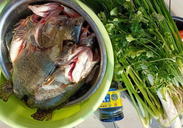 臭鳜鱼怎么腌制_臭鳜鱼腌制方法视频-第3张图片-山城妙识 臭鳜鱼怎么腌制_臭鳜鱼腌制方法视频-第3张图片-山城妙识