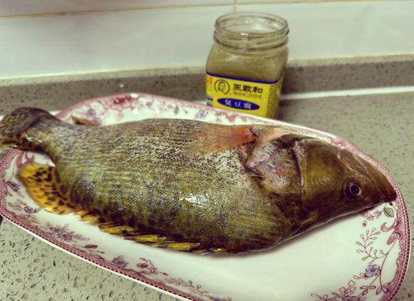 臭鳜鱼怎么腌制_臭鳜鱼腌制方法视频-第1张图片-山城妙识 臭鳜鱼怎么腌制_臭鳜鱼腌制方法视频-第1张图片-山城妙识