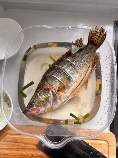 鳜鱼适合清蒸还是红烧_鳜鱼怎么做好吃又简单-第2张图片-山城妙识 鳜鱼适合清蒸还是红烧_鳜鱼怎么做好吃又简单-第2张图片-山城妙识