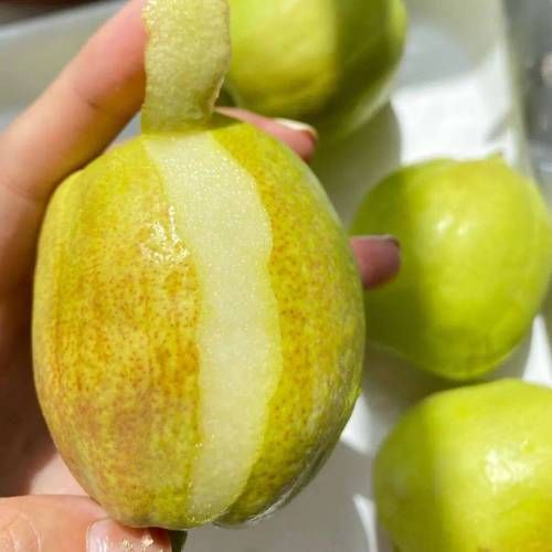 香梨热量是多少_香梨减肥能吃吗-第3张图片-山城妙识 香梨热量是多少_香梨减肥能吃吗-第3张图片-山城妙识