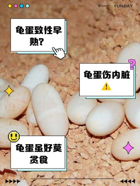 女人为什么不能吃乌龟_乌龟对女人有什么危害-第1张图片-山城妙识 女人为什么不能吃乌龟_乌龟对女人有什么危害-第1张图片-山城妙识