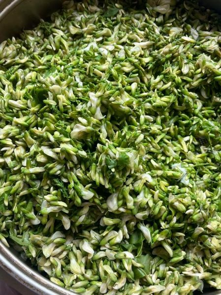 蒸洋槐花的功效与作用_孕妇能吃吗-第1张图片-山城妙识 蒸洋槐花的功效与作用_孕妇能吃吗-第1张图片-山城妙识