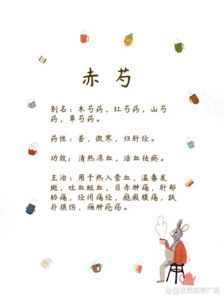 赤芍的功效与作用_赤芍的禁忌有哪些-第1张图片-山城妙识 赤芍的功效与作用_赤芍的禁忌有哪些-第1张图片-山城妙识