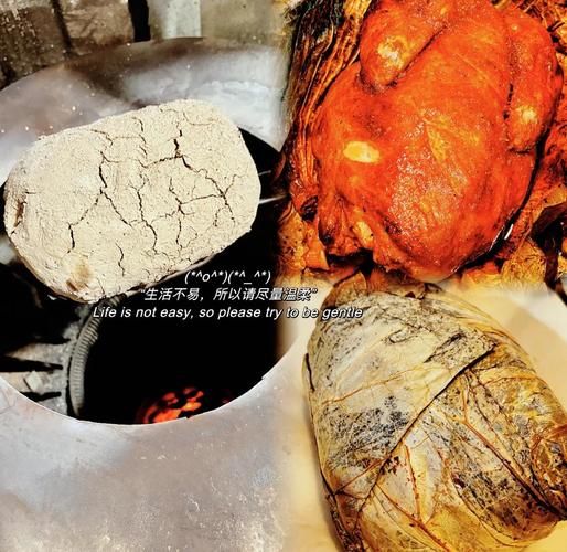 叫花鸡产地哪里的正宗_正宗叫花鸡来自哪里-第3张图片-山城妙识 叫花鸡产地哪里的正宗_正宗叫花鸡来自哪里-第3张图片-山城妙识