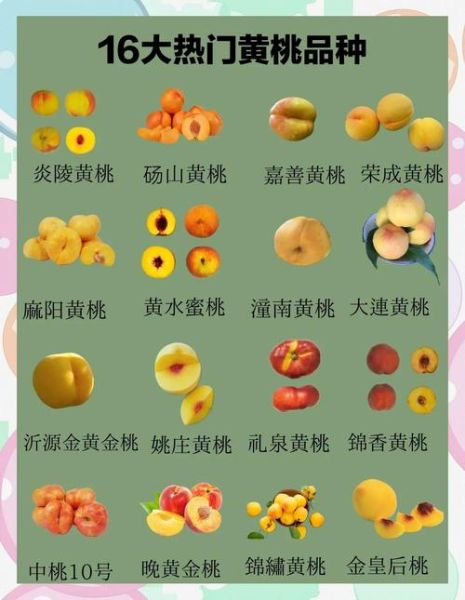 黄桃的功效与作用_黄桃的禁忌人群有哪些-第2张图片-山城妙识 黄桃的功效与作用_黄桃的禁忌人群有哪些-第2张图片-山城妙识