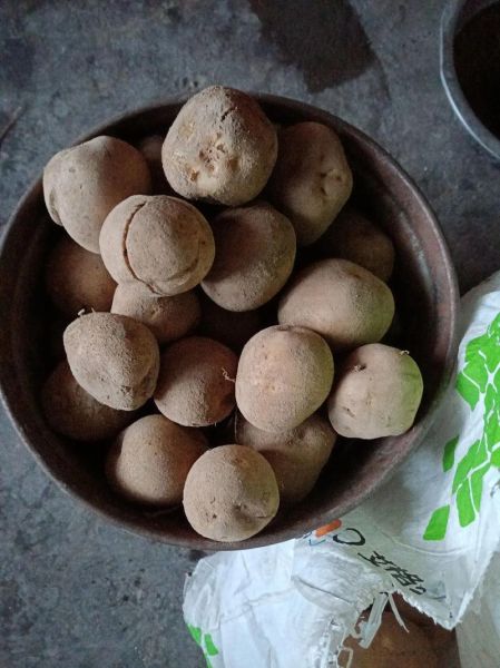 烤山药什么梗_怎么回-第1张图片-山城妙识 烤山药什么梗_怎么回-第1张图片-山城妙识