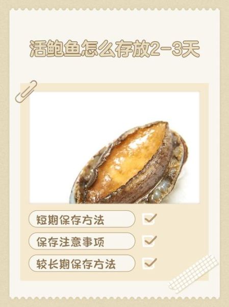 鲍鱼怎么保存_鲍鱼能放冰箱多久-第2张图片-山城妙识 鲍鱼怎么保存_鲍鱼能放冰箱多久-第2张图片-山城妙识