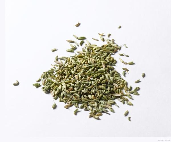 茴香籽和孜然是一种东西吗_怎么区分茴香籽和孜然-第1张图片-山城妙识 茴香籽和孜然是一种东西吗_怎么区分茴香籽和孜然-第1张图片-山城妙识
