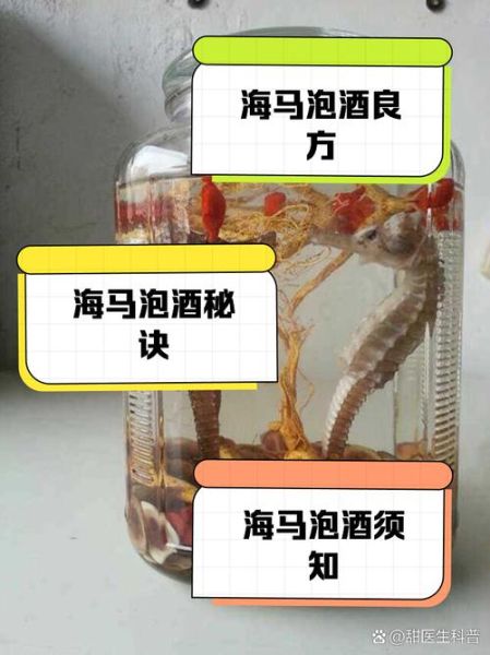 海马泡酒配方补肾壮阳_海马壮阳酒怎么泡才有效-第1张图片-山城妙识 海马泡酒配方补肾壮阳_海马壮阳酒怎么泡才有效-第1张图片-山城妙识