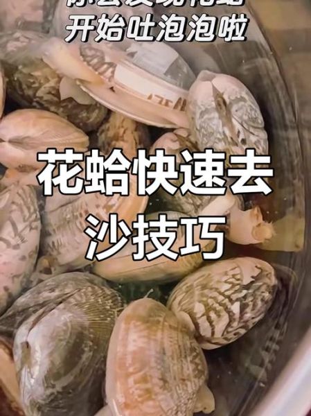 花蛤怎么洗才干净_花蛤吐沙最快的方法-第1张图片-山城妙识