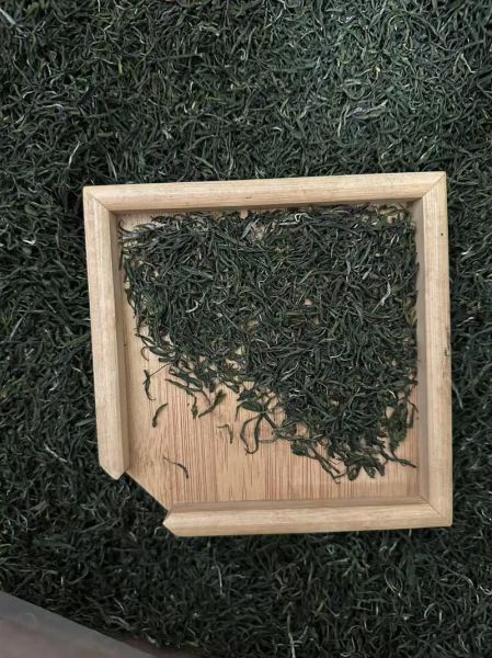 五峰毛尖茶多少钱一斤_五峰毛尖价格表-第1张图片-山城妙识 五峰毛尖茶多少钱一斤_五峰毛尖价格表-第1张图片-山城妙识