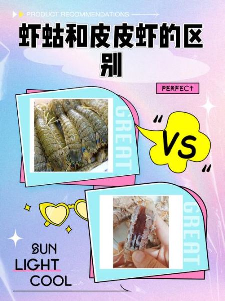 虾蛄怎么做好吃_虾蛄的营养价值-第1张图片-山城妙识 虾蛄怎么做好吃_虾蛄的营养价值-第1张图片-山城妙识