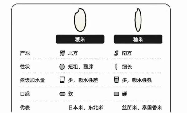籼米和粳米读音区别_哪个更好吃-第3张图片-山城妙识