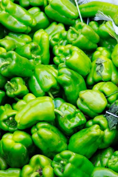 蔬菜图片大全_如何拍摄高清蔬菜图-第1张图片-山城妙识 蔬菜图片大全_如何拍摄高清蔬菜图-第1张图片-山城妙识