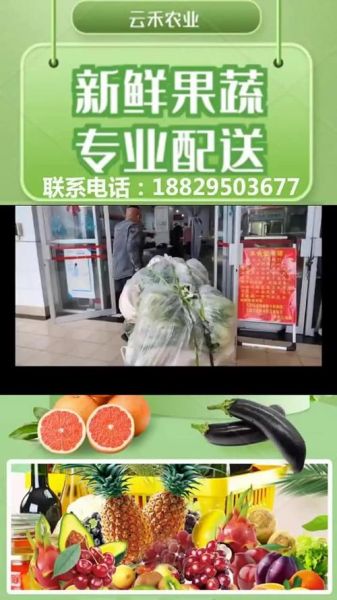 蔬菜配送公司怎么选_蔬菜配送价格贵吗-第3张图片-山城妙识