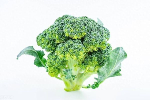 西兰花可以生吃吗_生吃西兰花安全吗-第1张图片-山城妙识 西兰花可以生吃吗_生吃西兰花安全吗-第1张图片-山城妙识