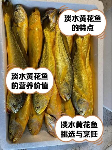 黄花鱼多少钱一斤2019_价格走势与影响因素-第3张图片-山城妙识 黄花鱼多少钱一斤2019_价格走势与影响因素-第3张图片-山城妙识