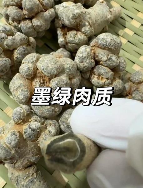 三七长什么样子_如何辨别真假三七-第1张图片-山城妙识