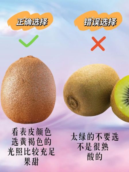 猕猴桃图片高清图_如何挑选成熟猕猴桃-第1张图片-山城妙识
