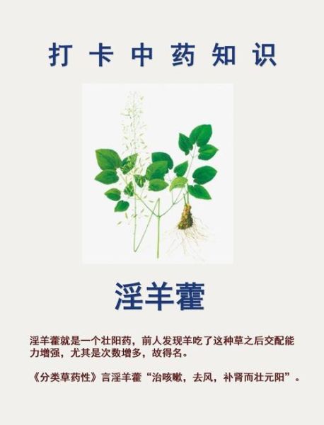 霪羊藿吃一次硬的_霪羊藿一次吃多少才有效-第2张图片-山城妙识 霪羊藿吃一次硬的_霪羊藿一次吃多少才有效-第2张图片-山城妙识