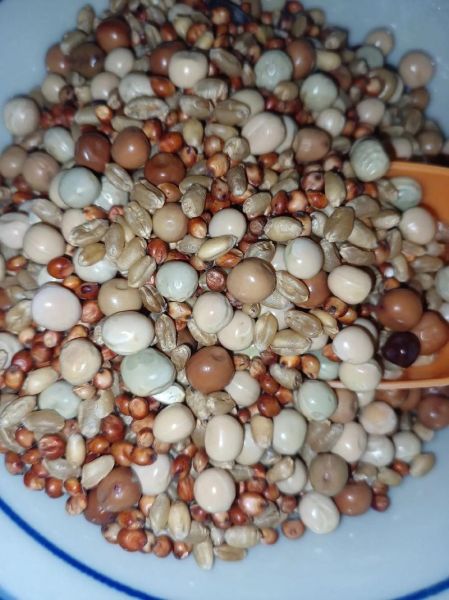 鸽子吃什么粮食最好_家养鸽子饲料配方-第1张图片-山城妙识