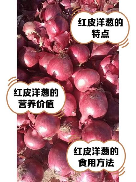 红葱图片_红葱和洋葱的区别-第1张图片-山城妙识 红葱图片_红葱和洋葱的区别-第1张图片-山城妙识