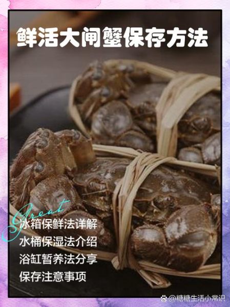 大闸蟹能活多久_怎么保存-第2张图片-山城妙识 大闸蟹能活多久_怎么保存-第2张图片-山城妙识